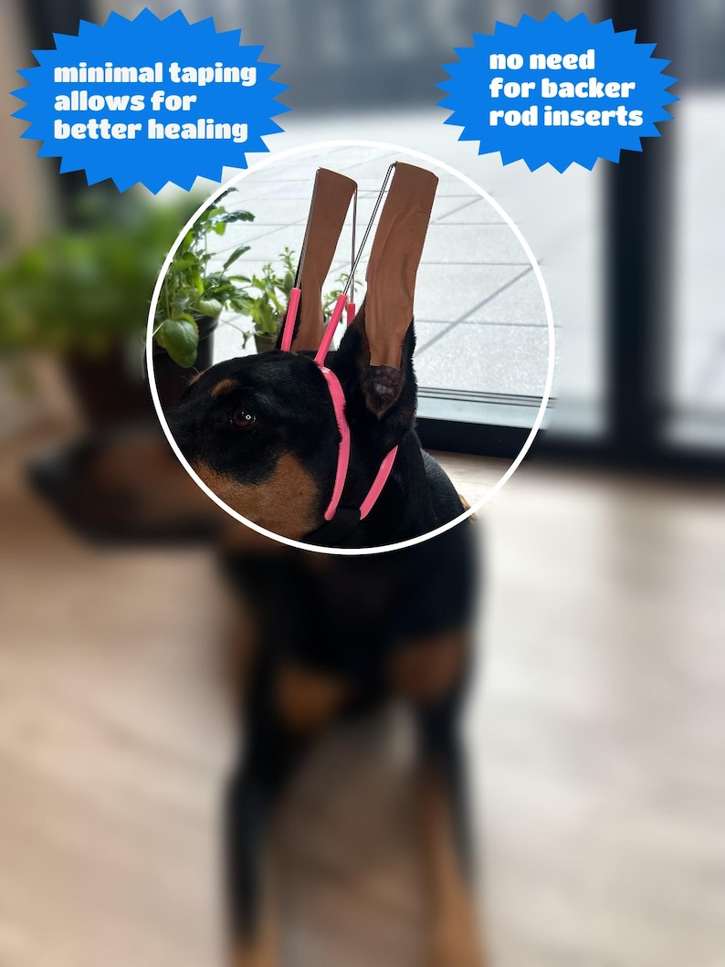 Doberman Ear Posting Brace - Etsy UK