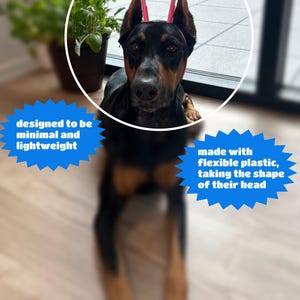 Doberman Ear Posting Brace - Etsy