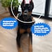 Doberman Ear Posting Brace - Etsy