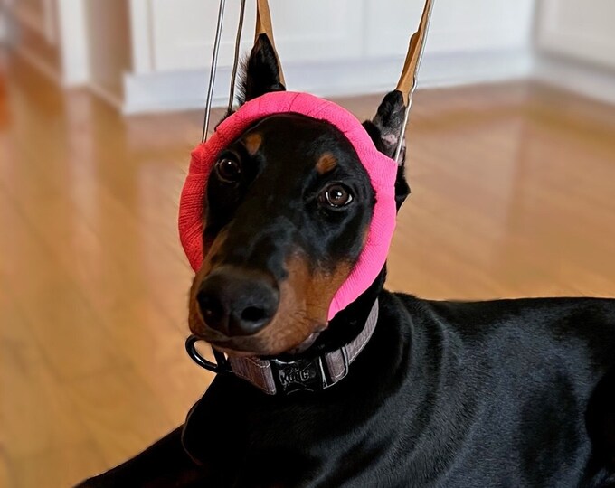 Doberman Ear Posting Brace - Etsy