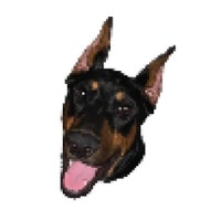 Doberman Ear Posting Brace - Etsy
