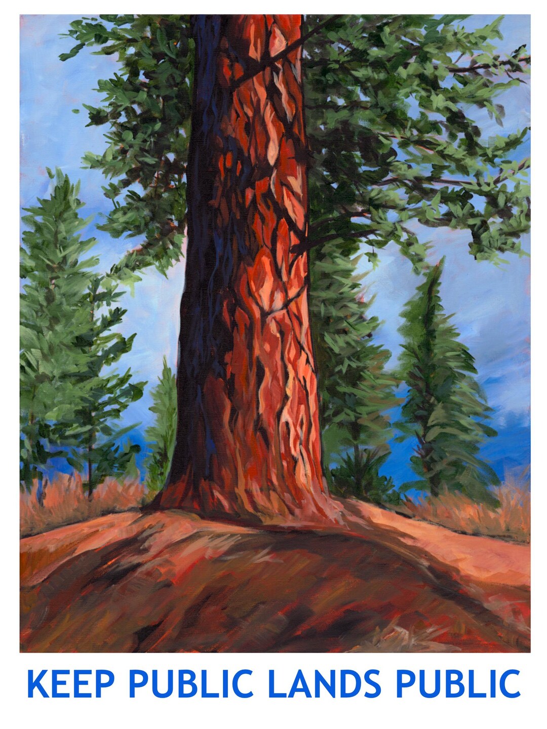 Keep Public Lands Public Sticker, Ponderosa Pine, 2x3 Waterproof Vinyl ...