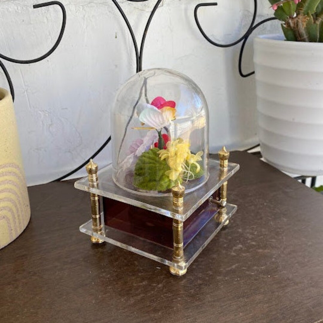 Vintage Acrylic Dome Music Box Spinning Butterflies 70s Music Box - Etsy