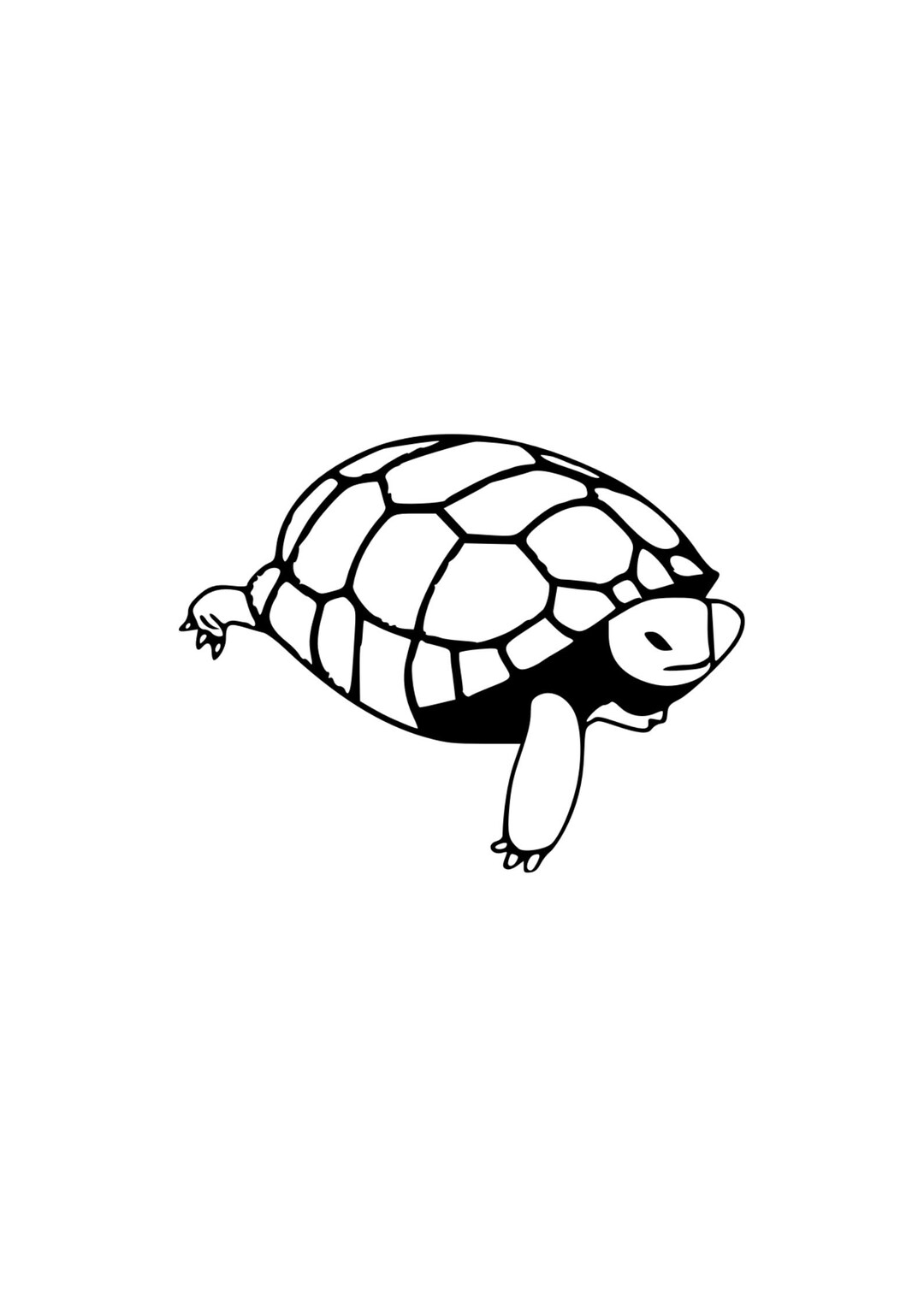 Turtle Line Art Svg Cute Turtle Silhouette Digital Instant Download ...