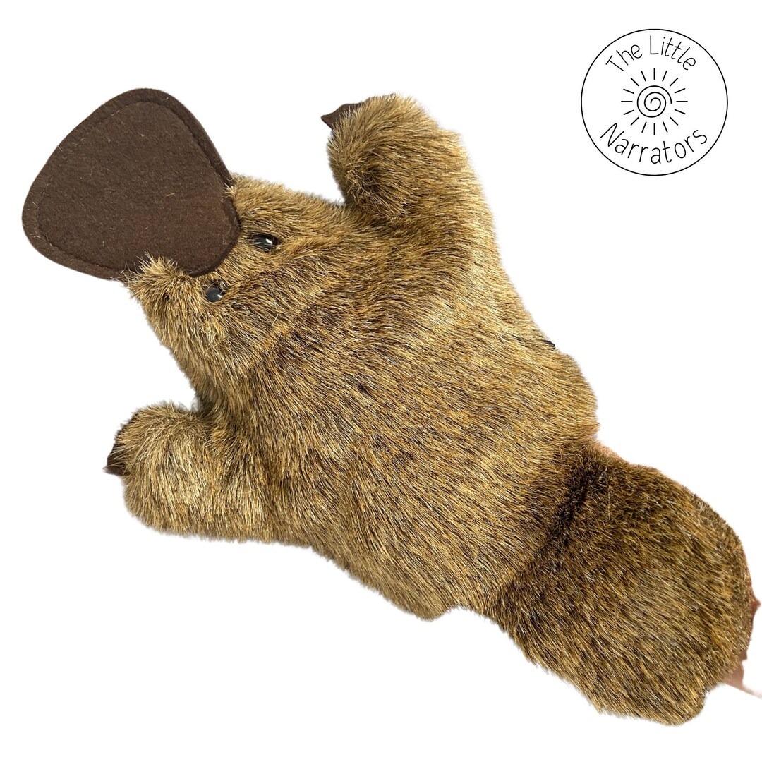 Baby Platypus Hand Puppet Preschool Circle Time - Etsy