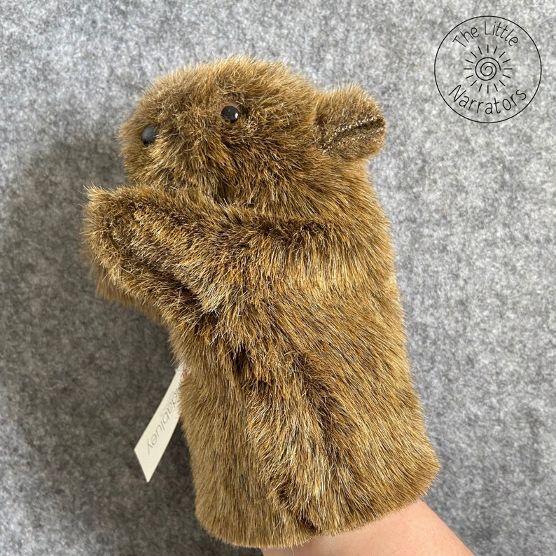 Wombat Hand Puppet - Preschool Circle Time, Kindergarten Teachers ...