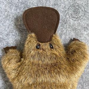 Baby Platypus Hand Puppet Preschool Circle Time - Etsy