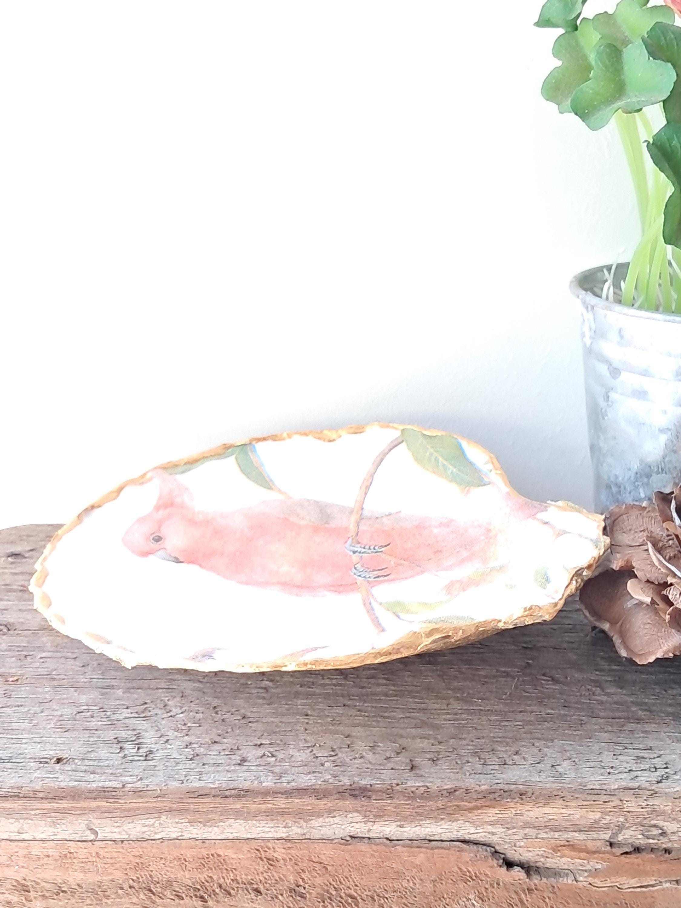 Australian Wild Life Pink Bird, Sea Shell Hand Made Trinket Dish,ring ...