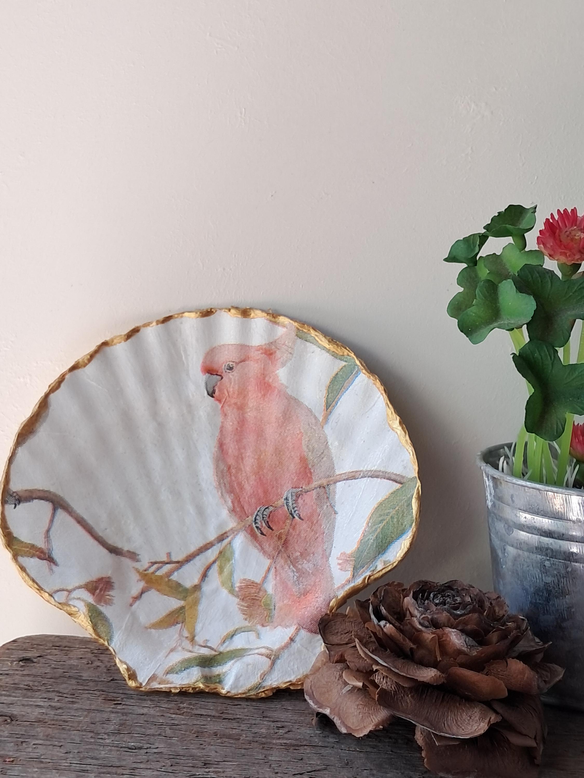 Australian Wild Life Pink Bird, Sea Shell Hand Made Trinket Dish,ring ...