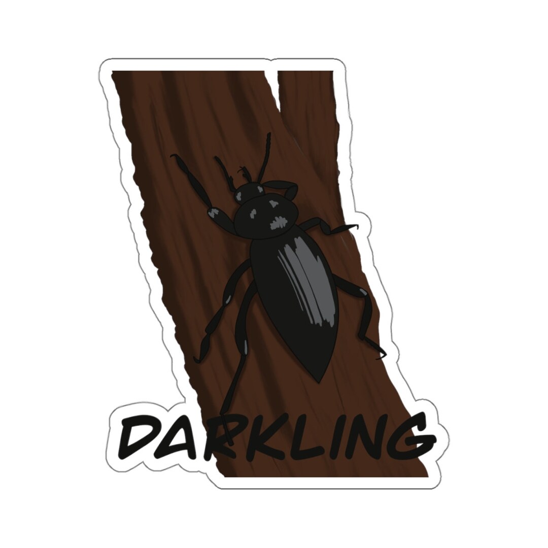 Darkling Beetle Adult Insect Kiss-cut Sticker - Etsy