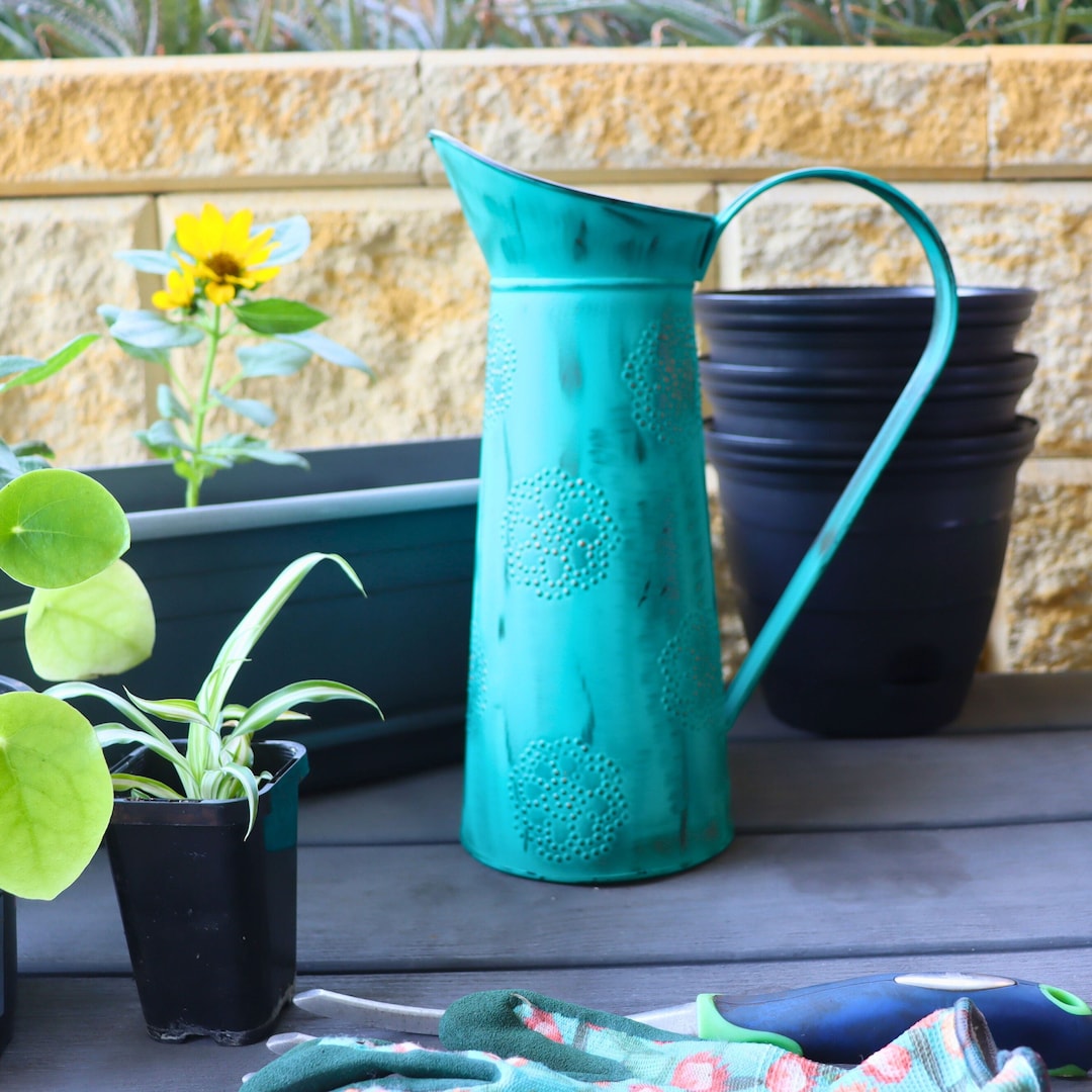 Watering Can for Indoor Plants, Handmade Metal Garden Jug, Functional ...