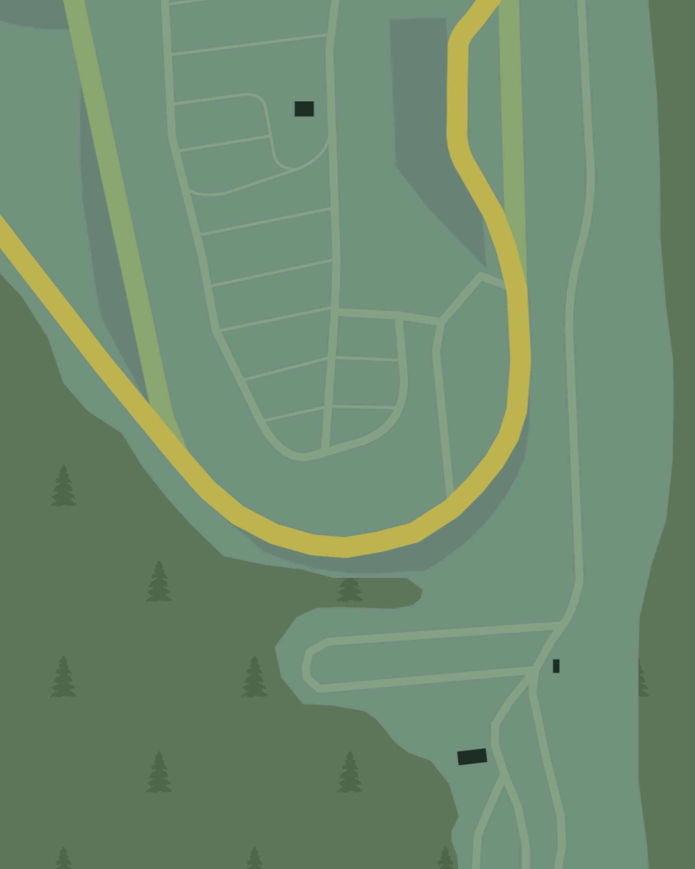Watkins Glen | Track Map for Poster Wall Art | IMSA, Indycar Poster ...