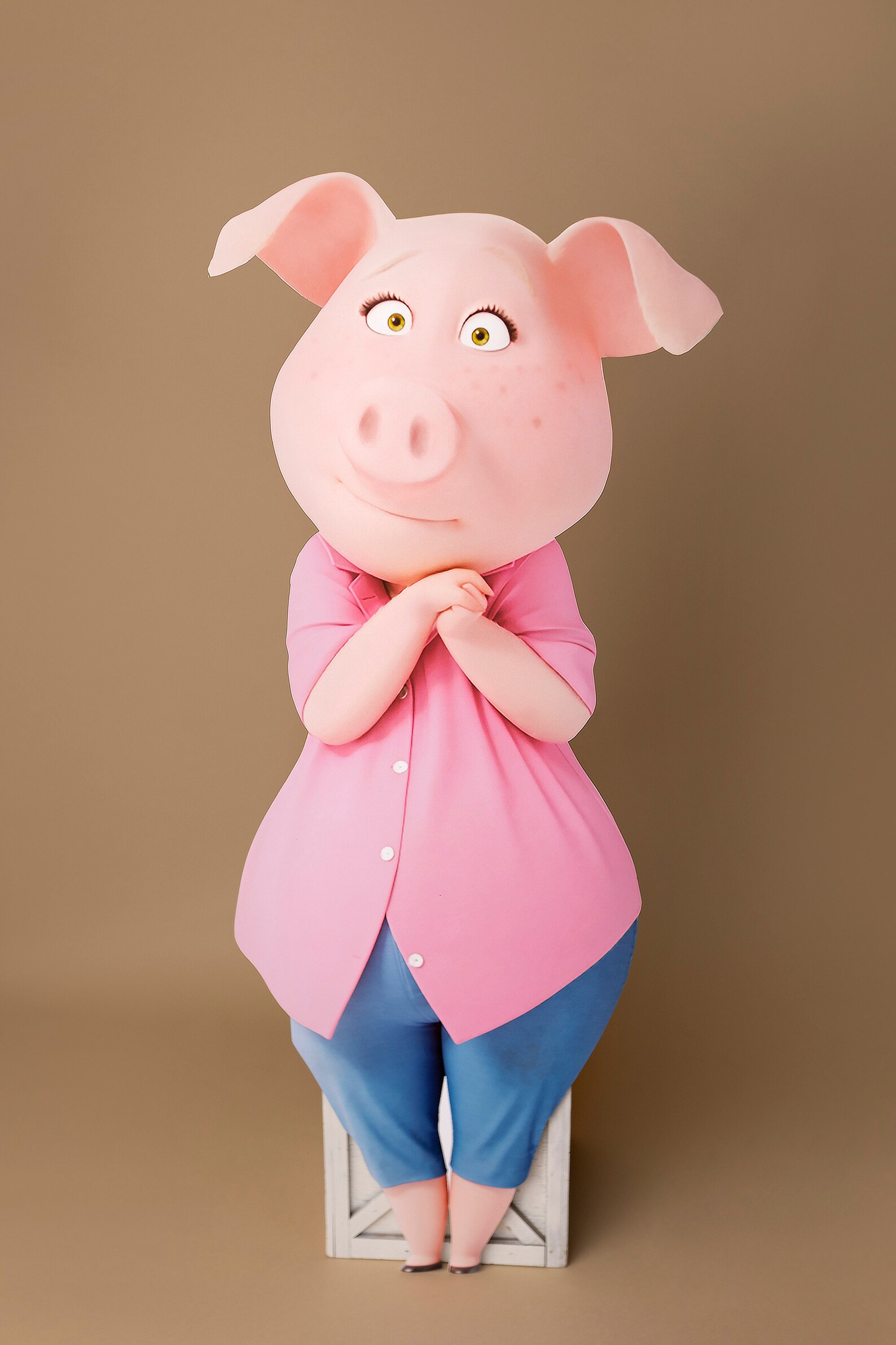 Sing Cutouts/ Custom Characters / Party Props/ - Etsy