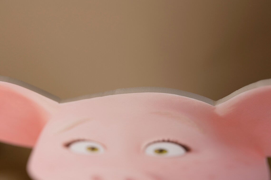 Sing Cutouts/ Custom Characters / Party Props/ - Etsy