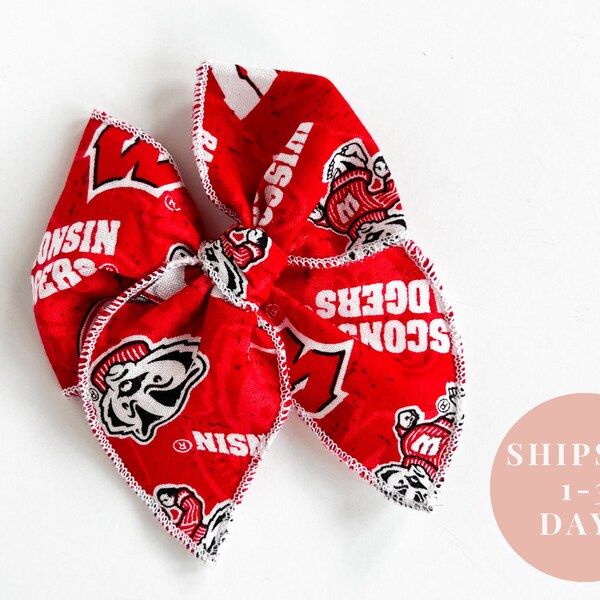 Wisconsin Badger - Etsy