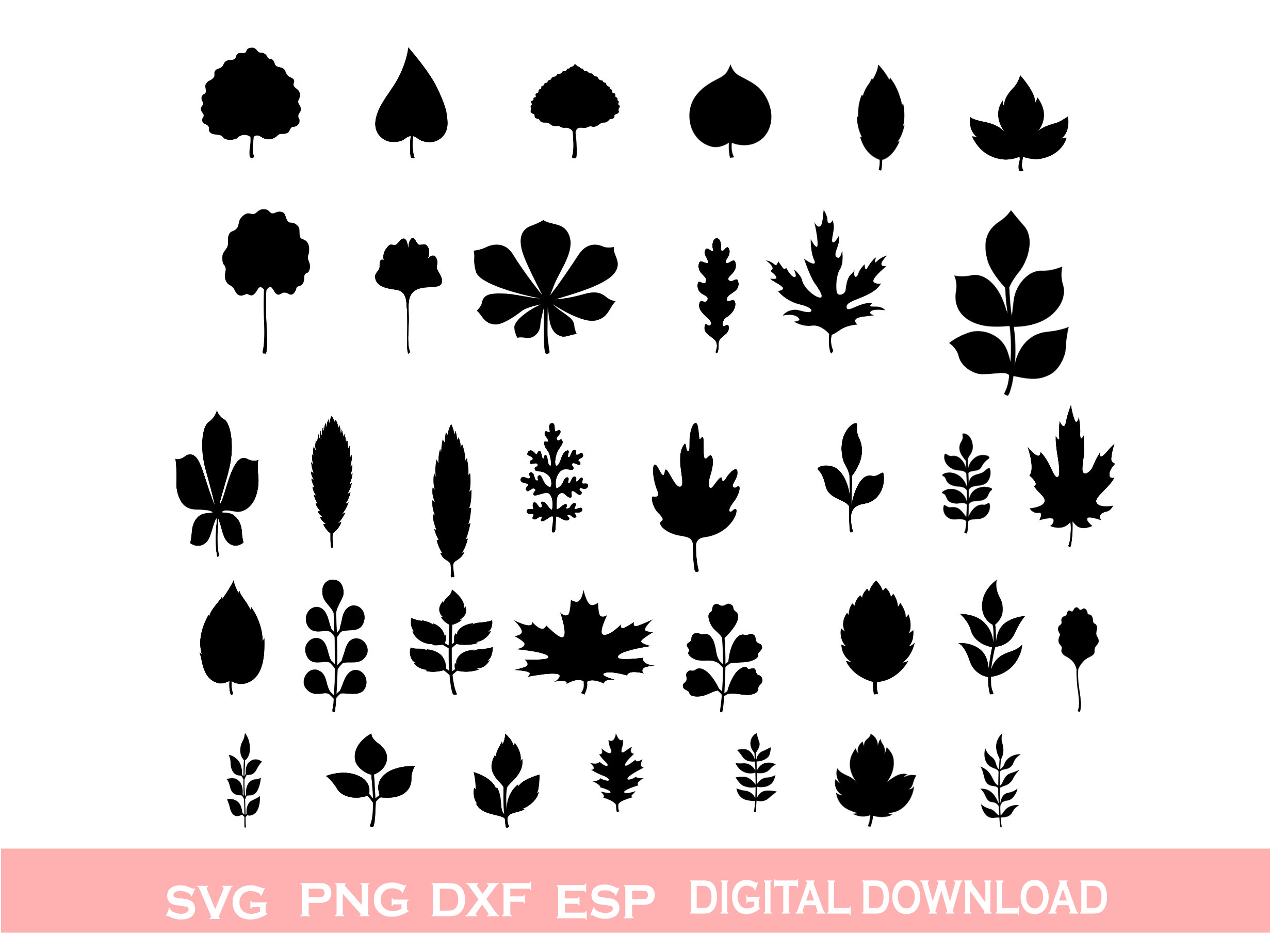 35 Fall Leaves Bundle SVG PNG, Fall Leaf Svg, Fall Leaf Svg, Fall Png ...