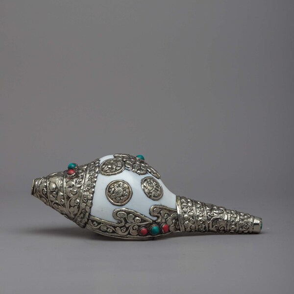 Nepal Conch Shell - Etsy