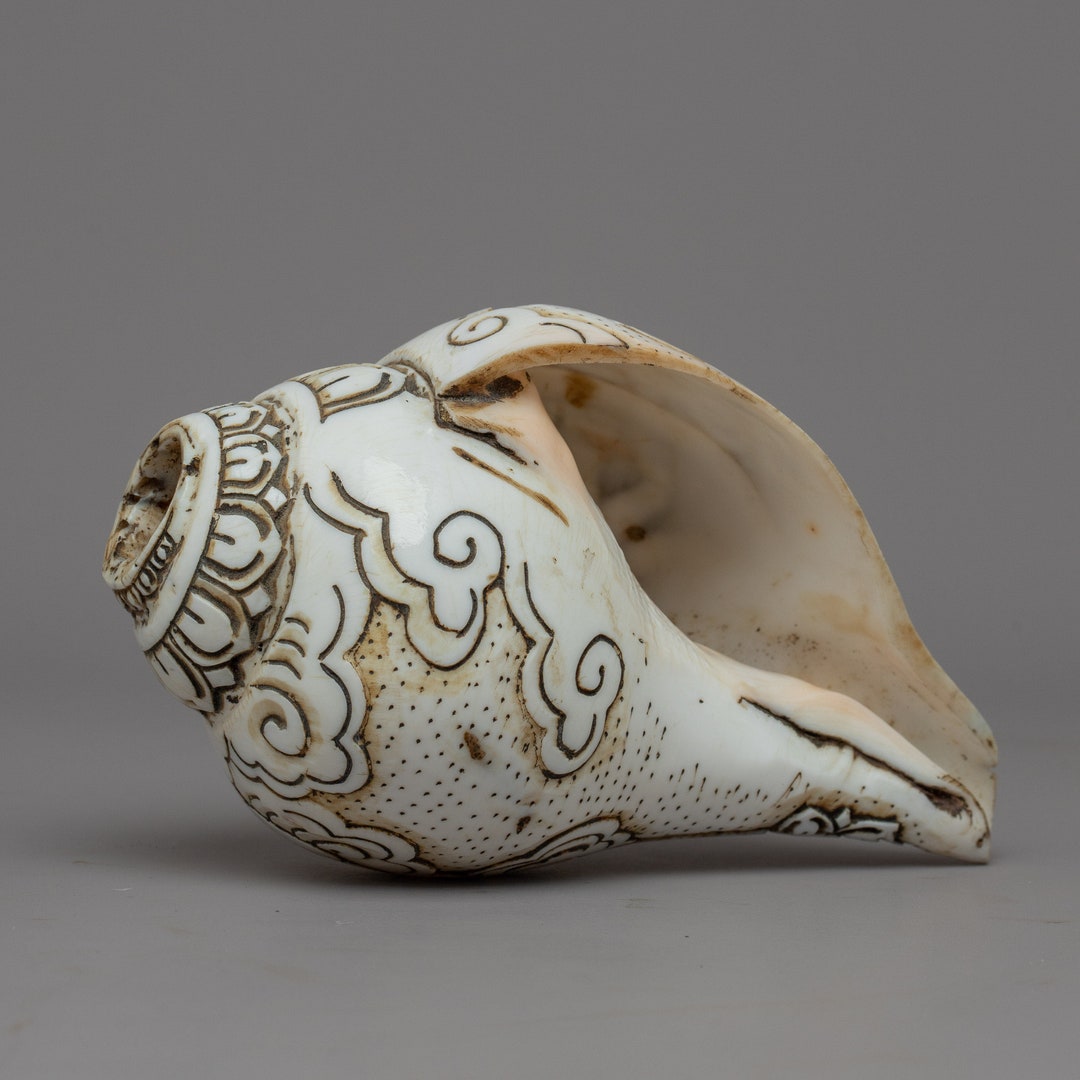 Ganesha Carved Ritual Conch Shell Hand Carved Conch Sankha With ...