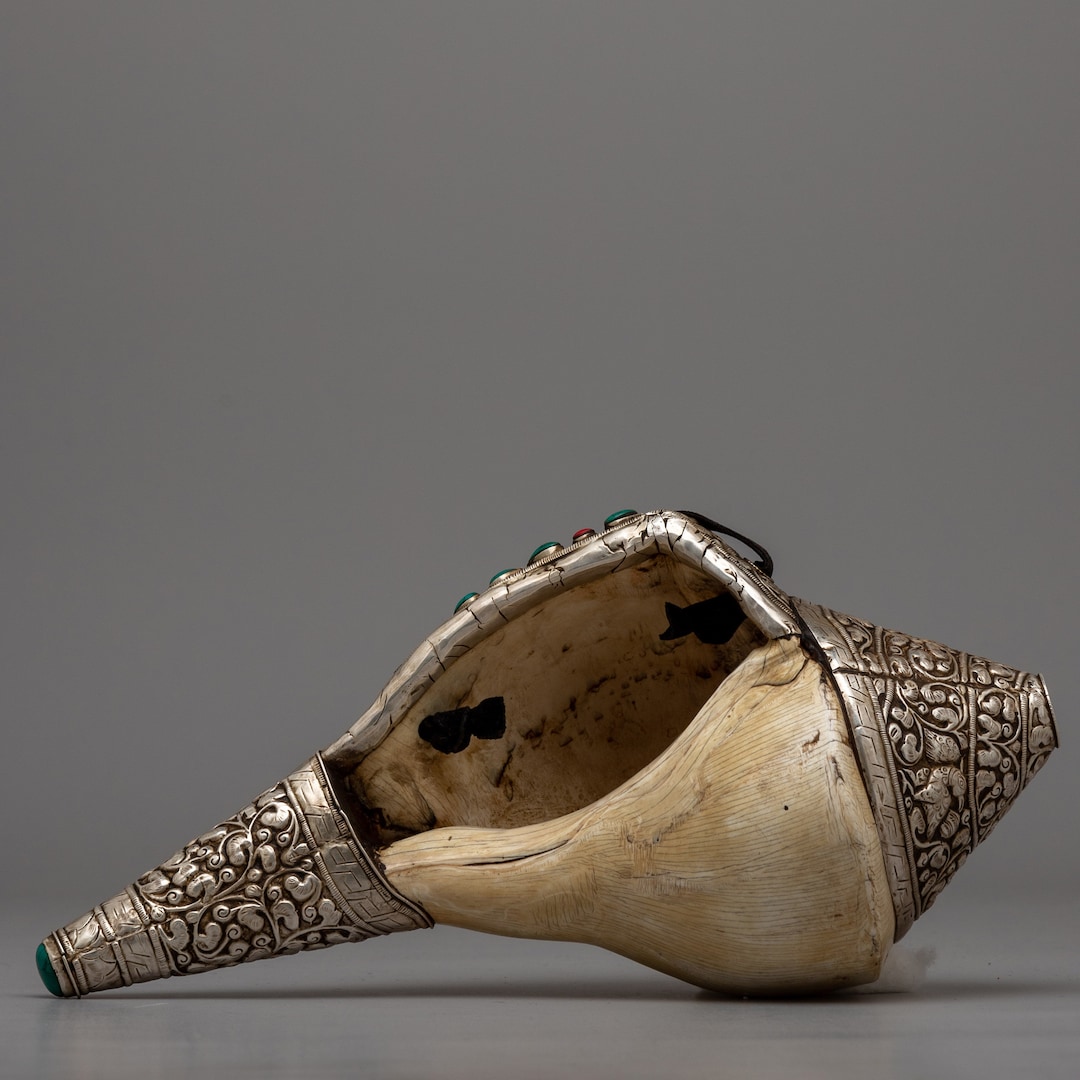 Buddhist Auspicious Sankha Conch Shell | Ritual Item | Symbol of Purity ...