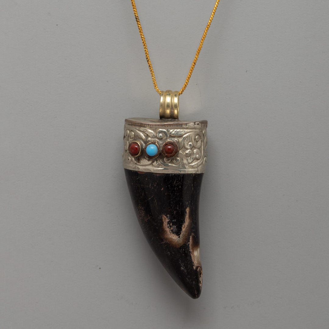 Tibetan Ethical Goat Horn Amulet Locket| Spiritual Necklace, Ethically ...