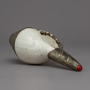 Conch Shell :echoing the Sounds of Spirituality & Meditation | Shankha ...