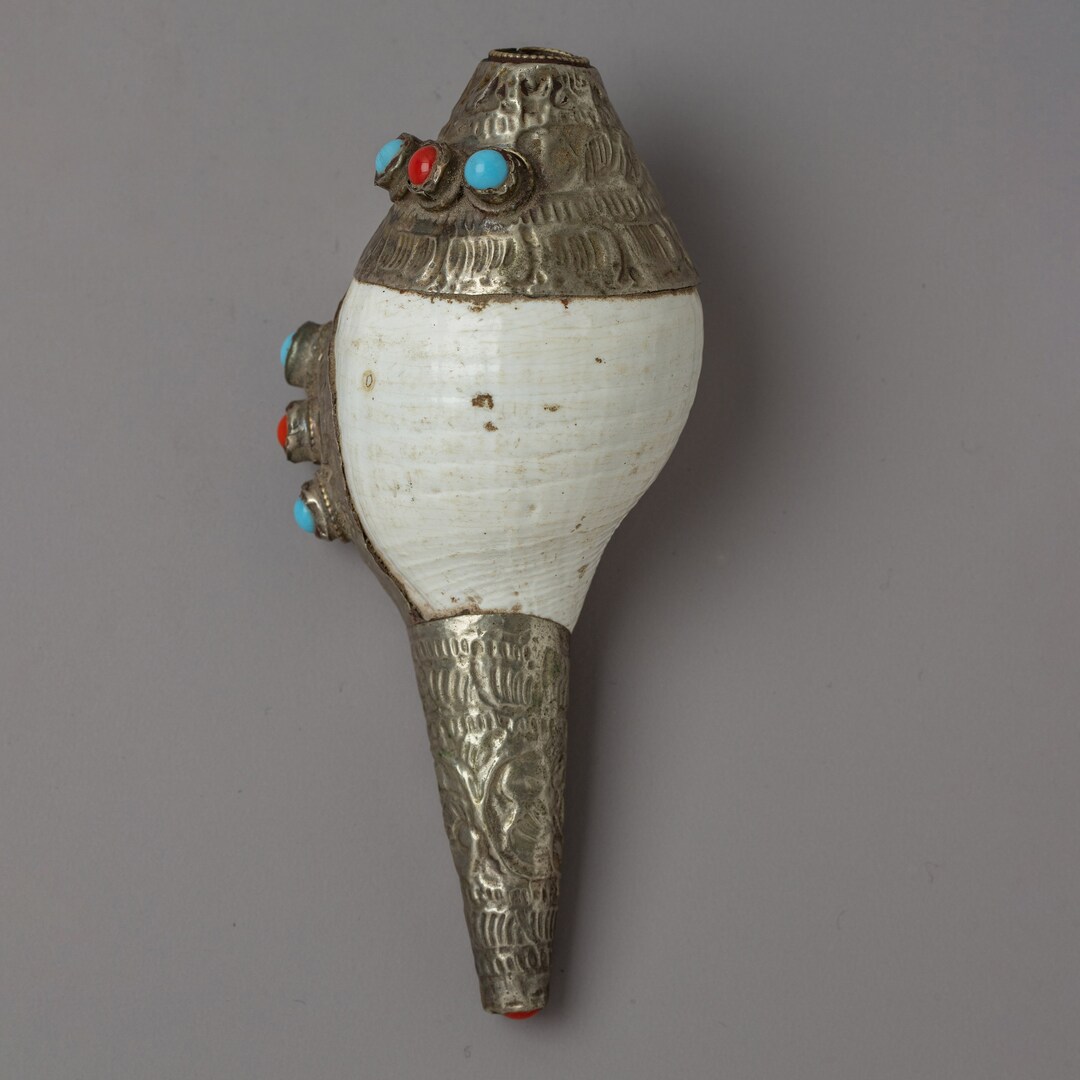 Conch Shell :echoing the Sounds of Spirituality & Meditation | Shankha ...