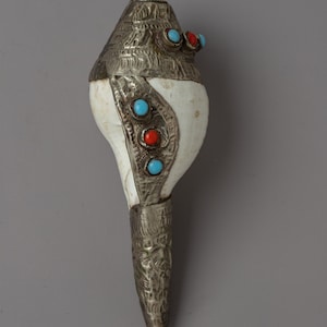 Conch Shell :echoing the Sounds of Spirituality & Meditation | Shankha ...