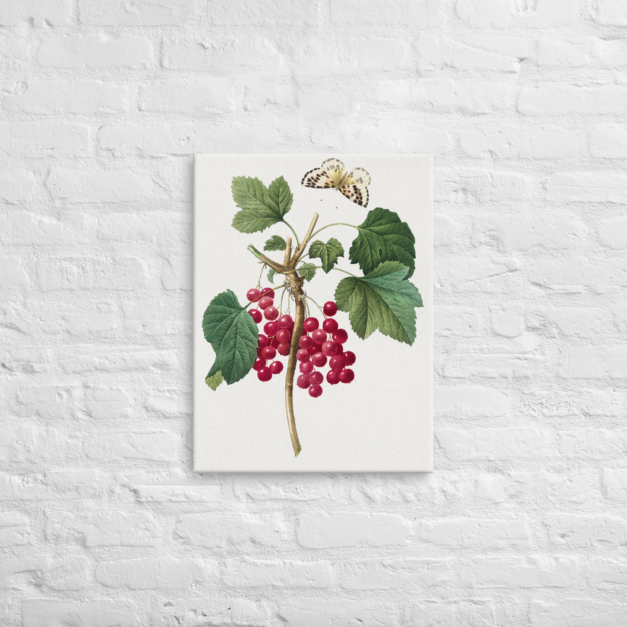 Red Currant Choix Des Plus Belles Fleurs by Pierre-joseph Redouté ...