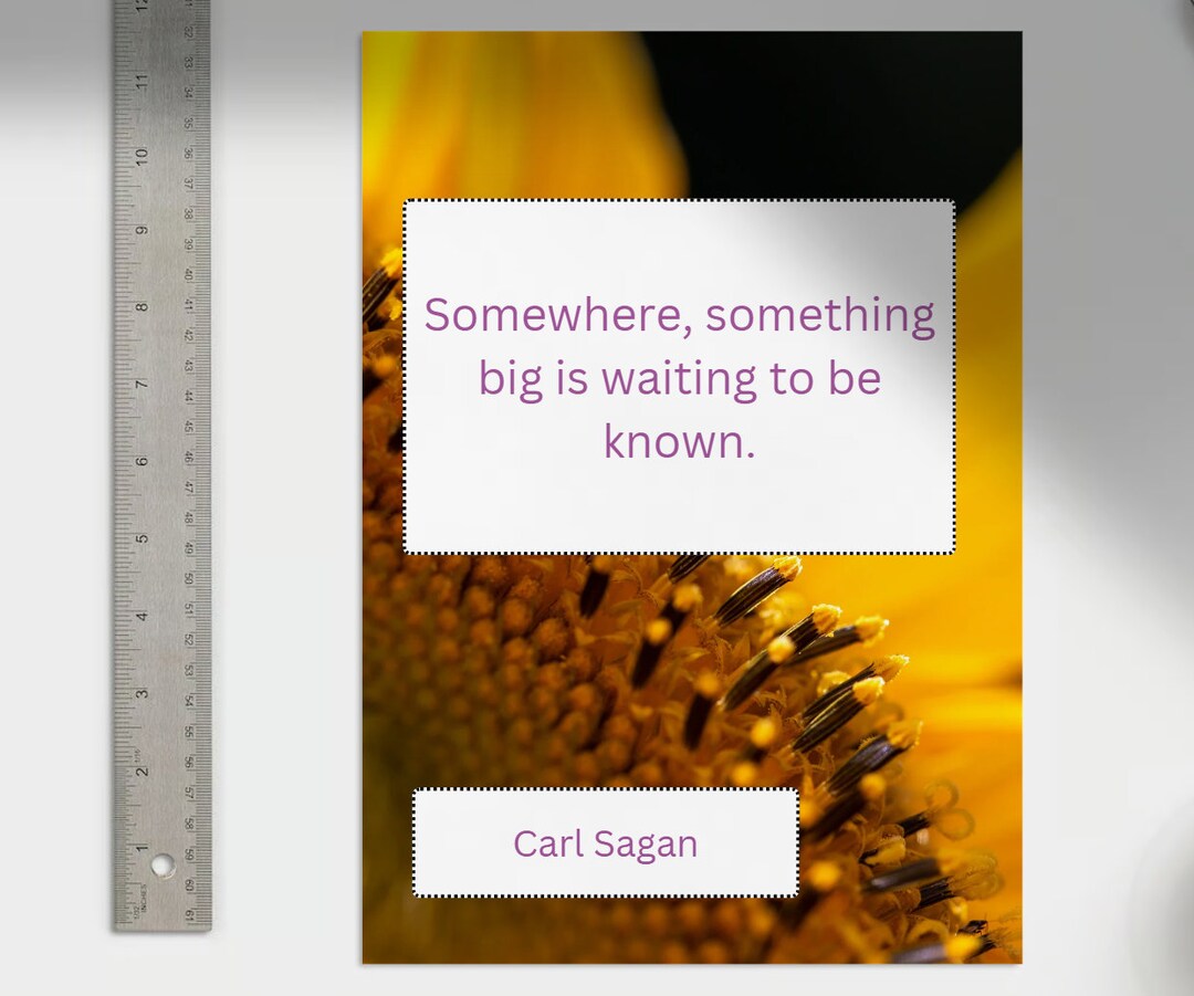 Sunflower; Science Classroom Decor Bundle. - Etsy