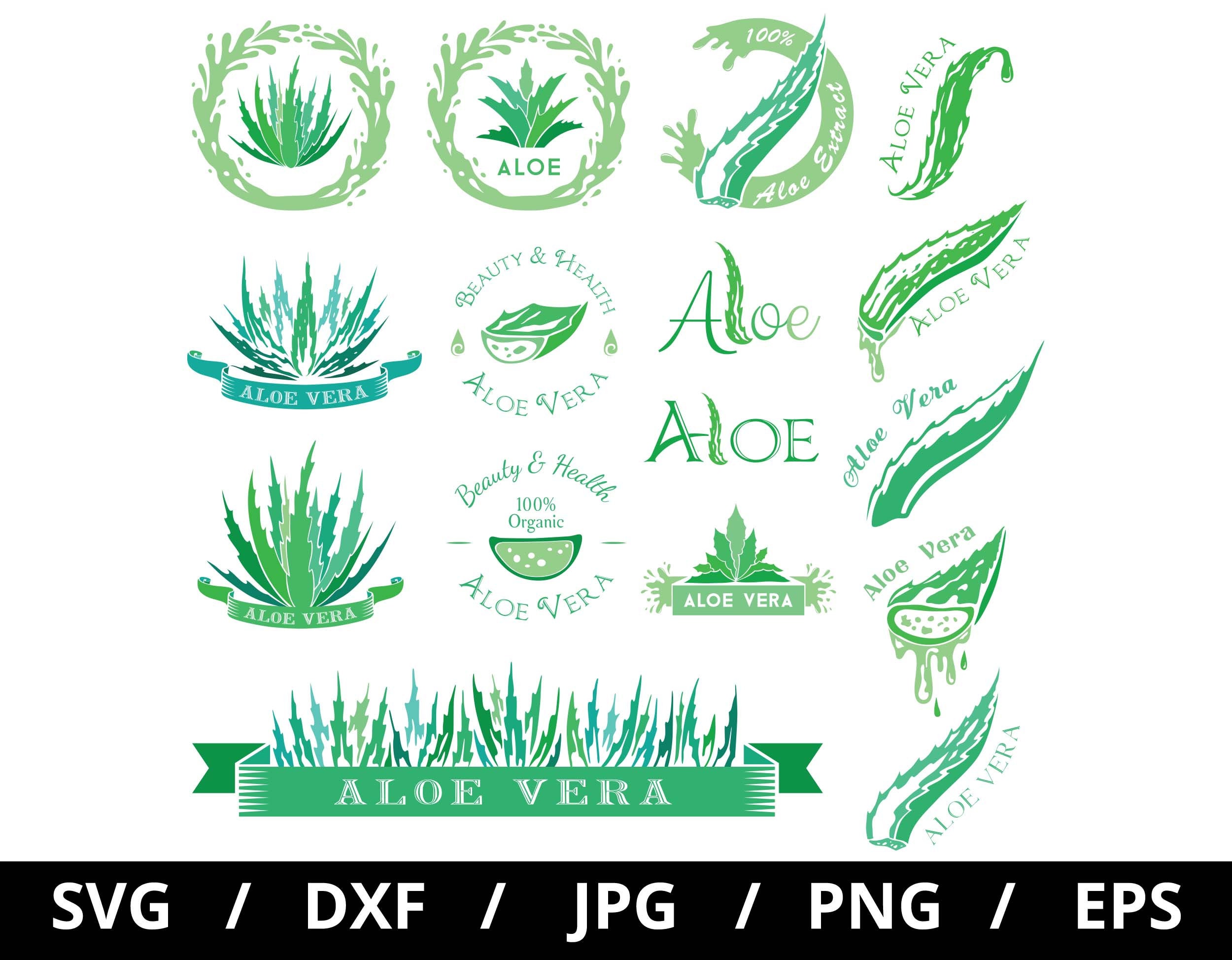 Aloe Vera Label Sets Illustration Svg, Aloe Vera Green Labels Svg, Aloe ...