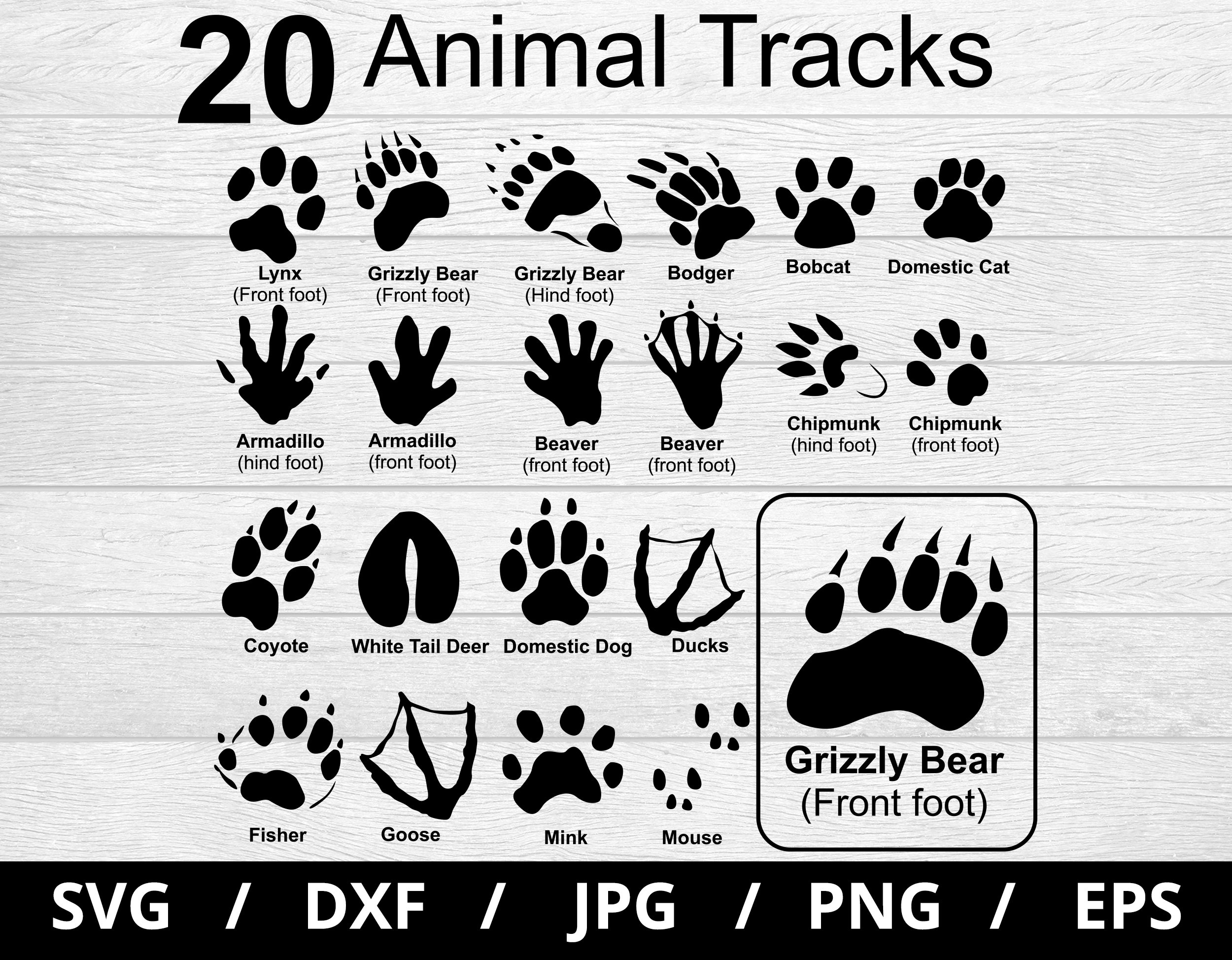 Animal Tracks Svg Animal Paw Svg Files Animal Hunting Prints - Etsy UK