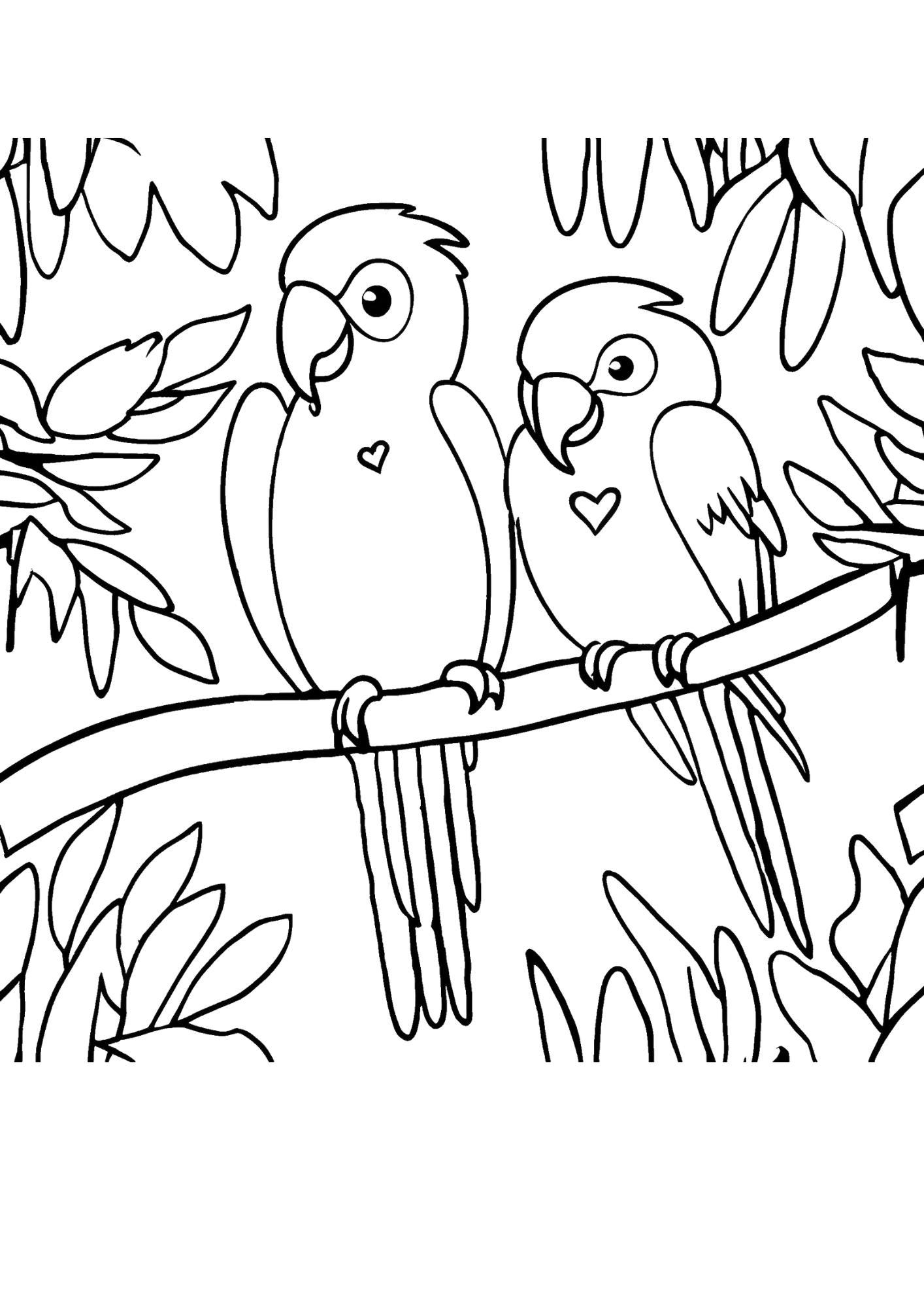 9-page Bird Coloring Book for Kids | Fun and Educational Bird ...