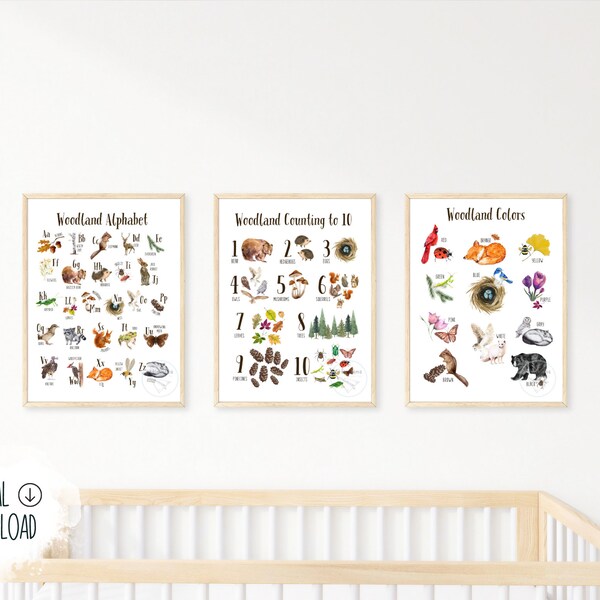 Woodland Alphabet - Etsy