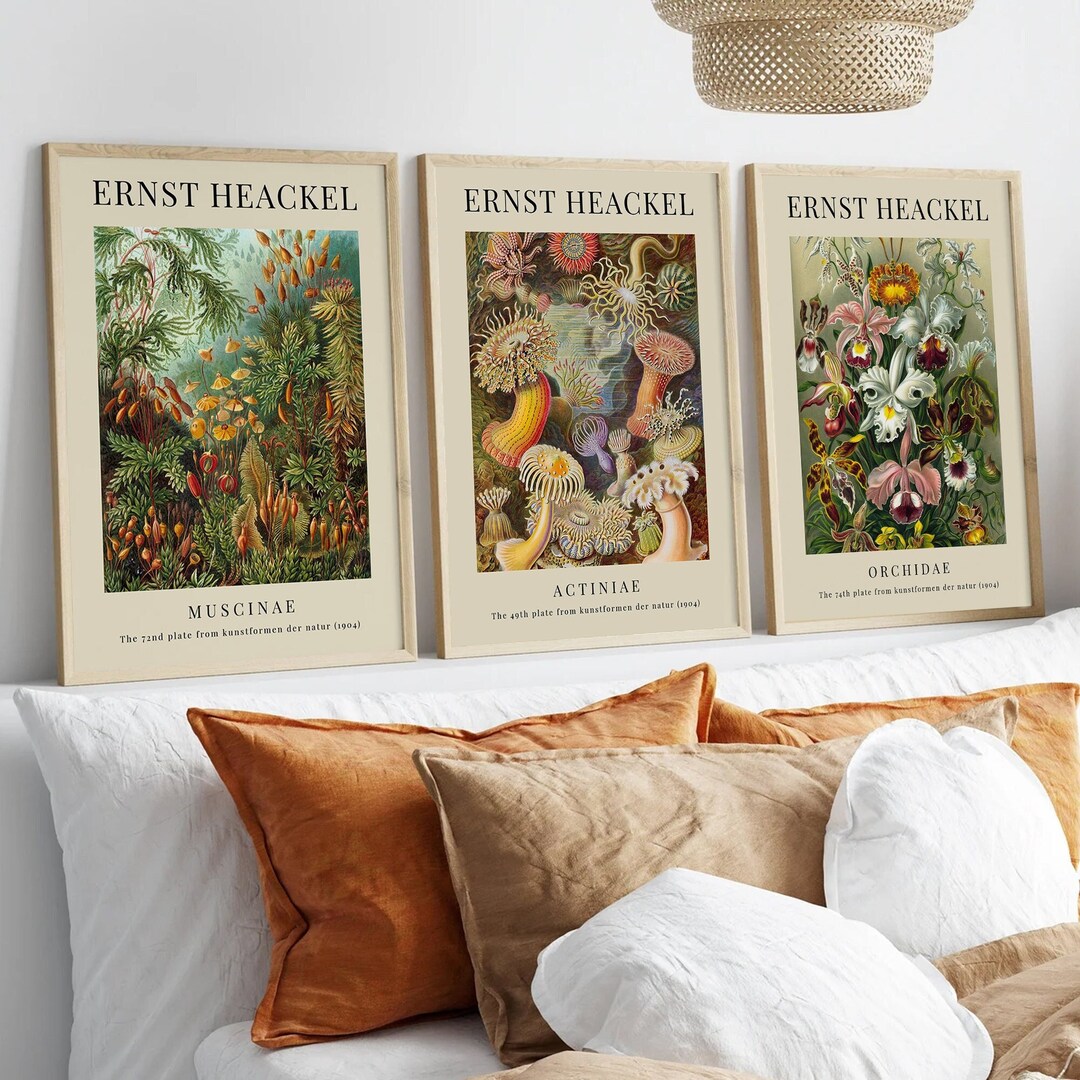 Ernst Haeckel Print Set, Palm Tree Print, Hummingbird Print, Botanical ...