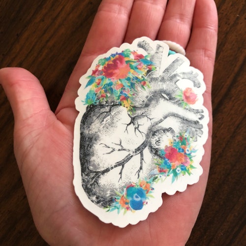 Anatomical Heart Sticker: Human Anatomy Heart Valentines Love - Etsy