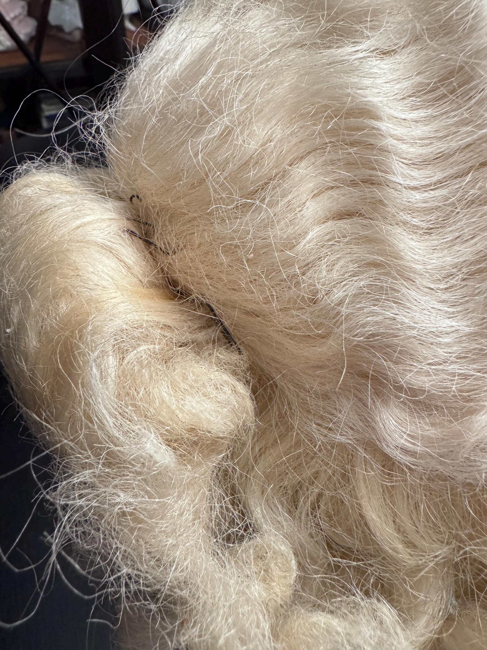 Authentic Antique Victorian Wig. 18th-19th Century Wig. - Etsy