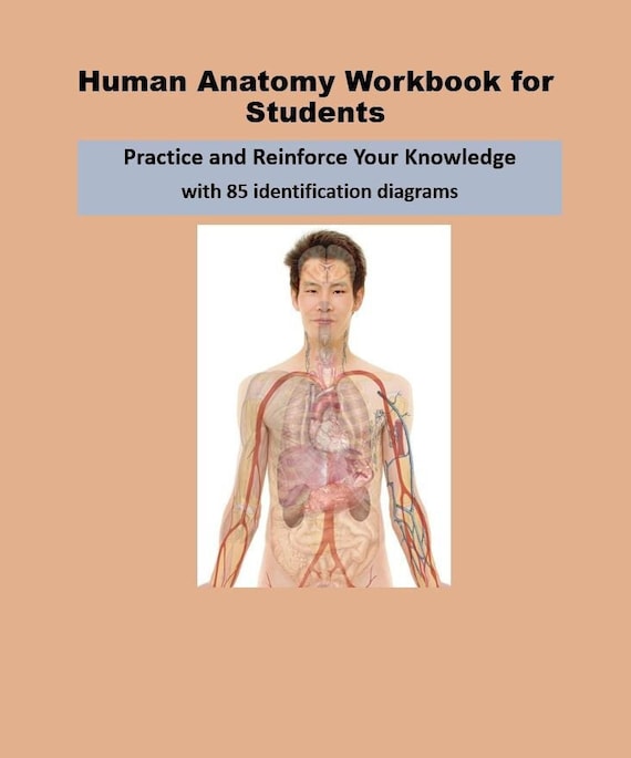 Human Anatomy Workbook for Students Practice and Reinforce - Etsy