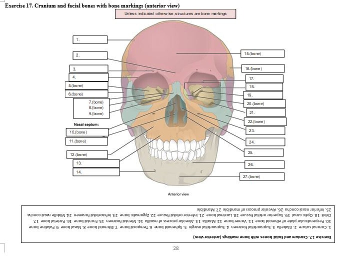 Human Anatomy Workbook for Students - Practice and Reinforce Your ...