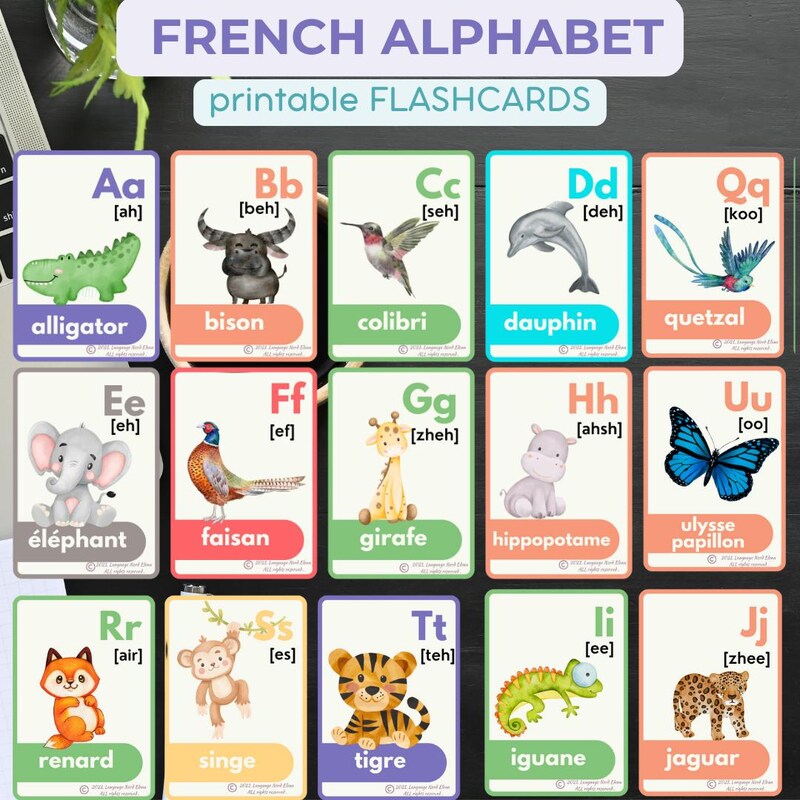 French Alphabet - Etsy