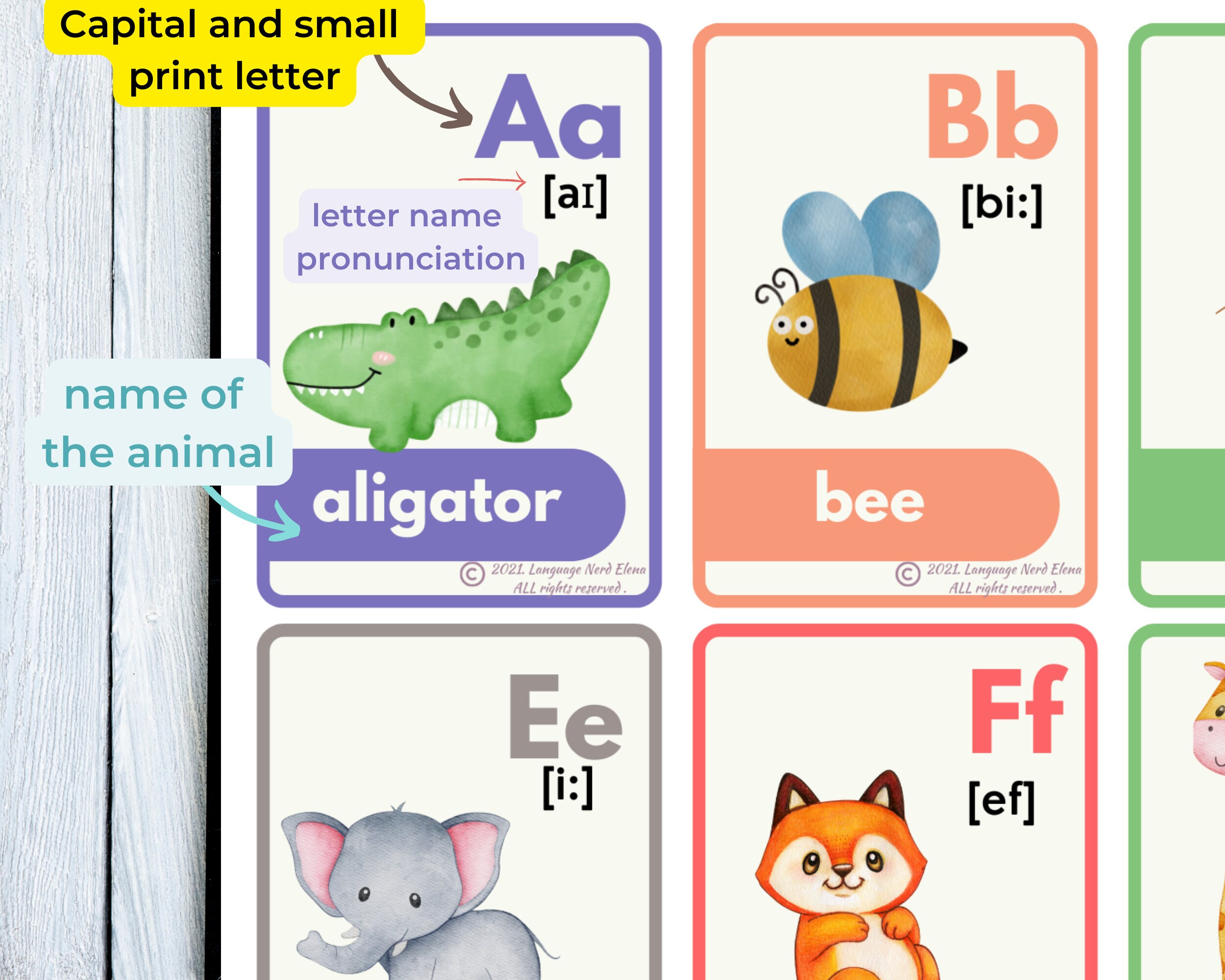 ENGLISH ALPHABET Flashcards in Animal Designs Kids Nursery Educational ...