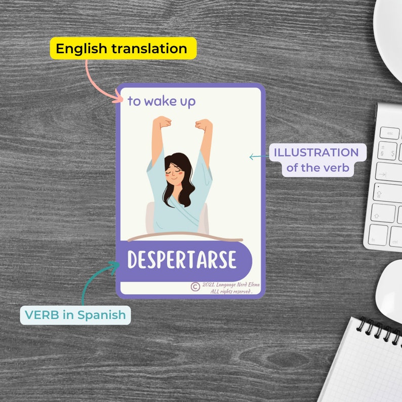 Spanish Verb Flashcards Daily Routine Verbs Bilingual English Spanish ...