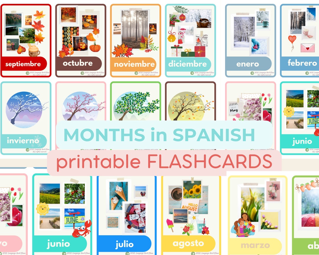 SPANISH LANGUAGE BASICS Flashcards Spanish Educational Printable ...