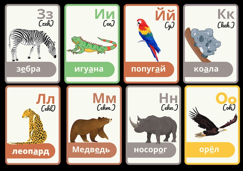RUSSIAN ALPHABET Flashcards in 2 Colour Designs Russian Alphabet With ...