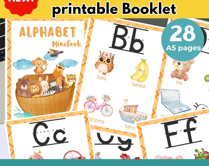 Spanish Alphabet Flashcards & Chart, 27 Cards, 1 Poster, Learn Spanish ...