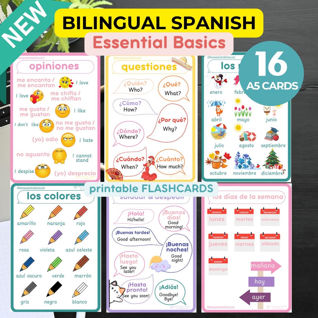 Learn SPANISH BASIC VOCABULARY Overview Bundle A5 Flashcards Spanish ...