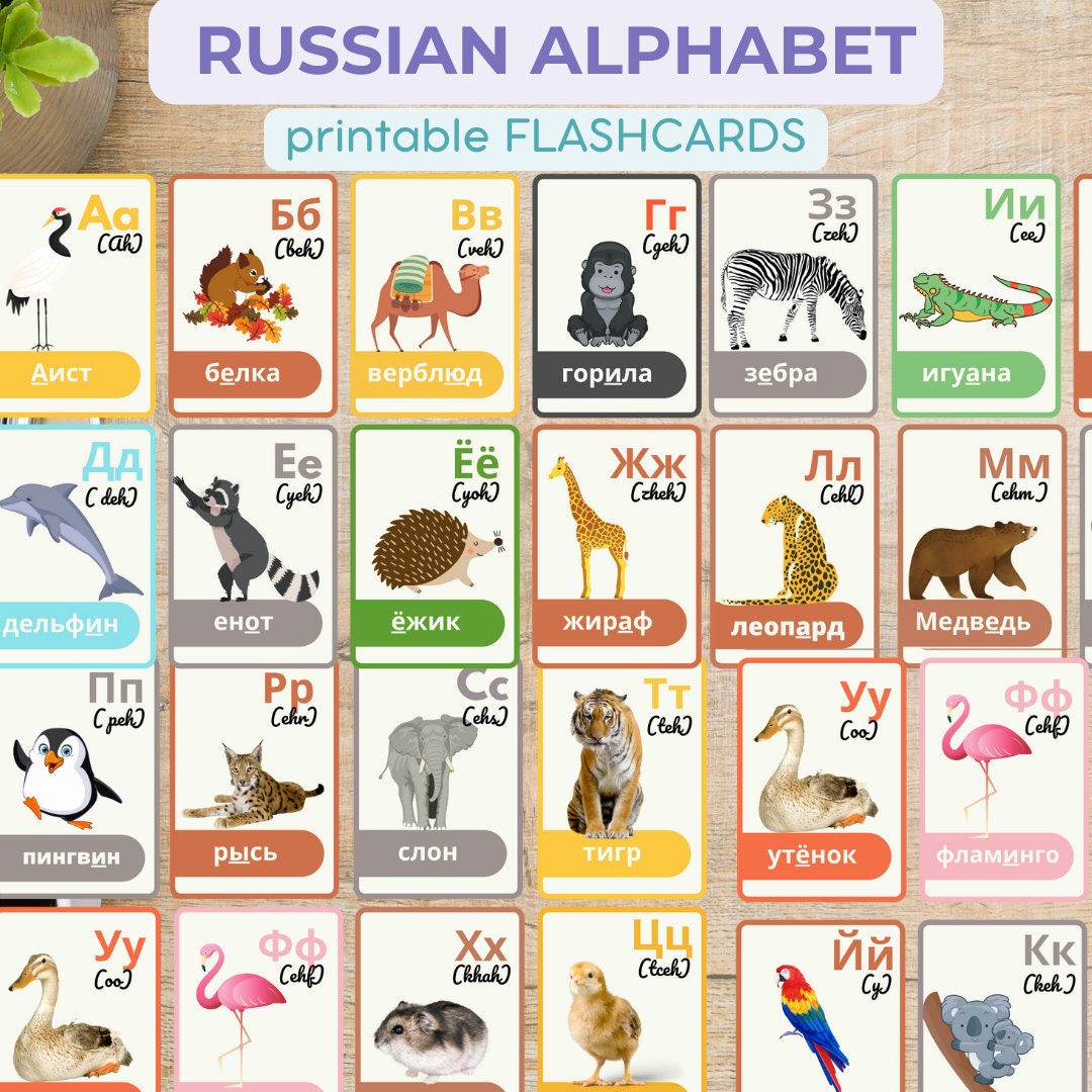 RUSSIAN ALPHABET Flashcards in 2 Colour Designs Russian Alphabet With ...