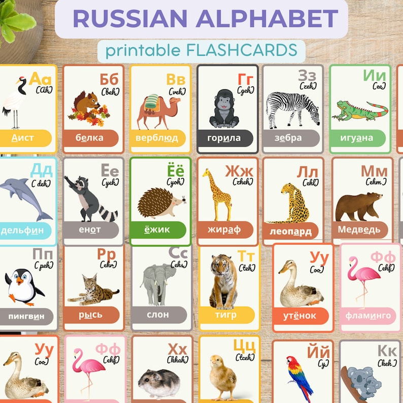 RUSSIAN ALPHABET Flashcards in 2 Colour Designs Russian Alphabet With ...