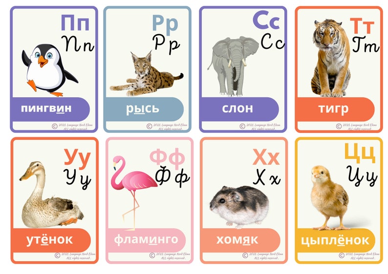 Learn RUSSIAN ALPHABET Flashcard Russian Alphabet With Cursive Russian ...
