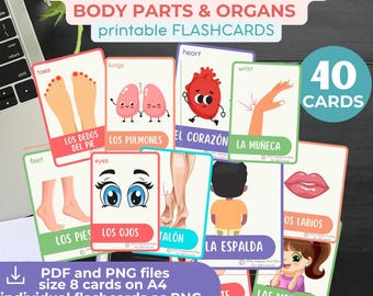 Spanish Body Parts Flashcards - Etsy