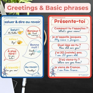 Bilingual FRENCH BASICS BUNDLE Flashcards French Educational Printable ...